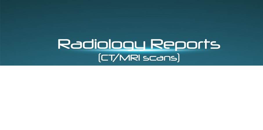Radiology Templates: Efficiency and Personalized Care in Second ...